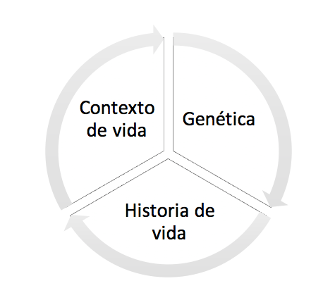 Conheça a Distimia – Um importante tipo de Depressão – Neurologista ...